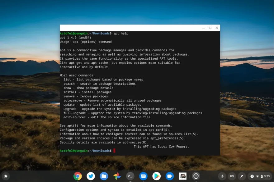 How To Install Linux Apps On Chromebook Appsonmac